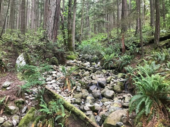 Quarry Rock Hike With Kids | Family Travel Blog | Adventure Awaits