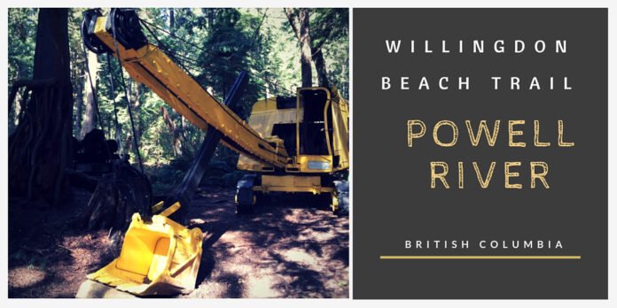 Willingdon Beach Trail - Powell River | Family Travel Blog