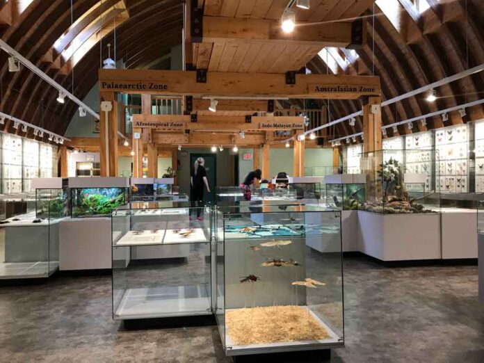 Hands On At The Newfoundland Insectarium | Family Travel Blog