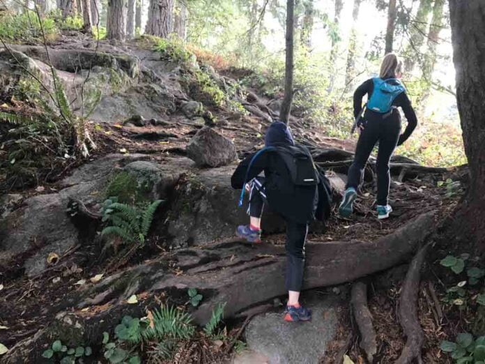 Minnekhada Regional Park - High Knoll Trail - Adventure Awaits