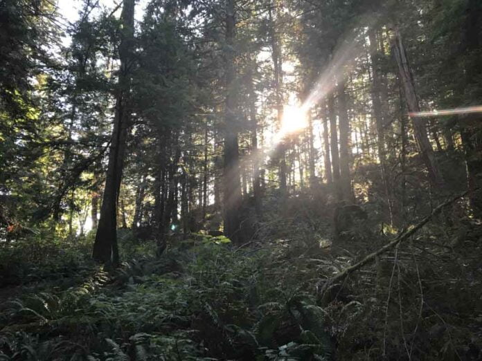 Minnekhada Regional Park - High Knoll Trail - Adventure Awaits