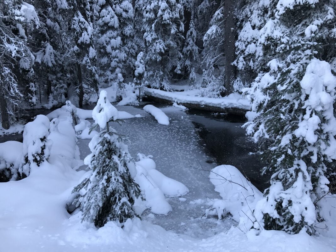 Lightning Lake Loop Hike - Manning Park - Adventure Awaits