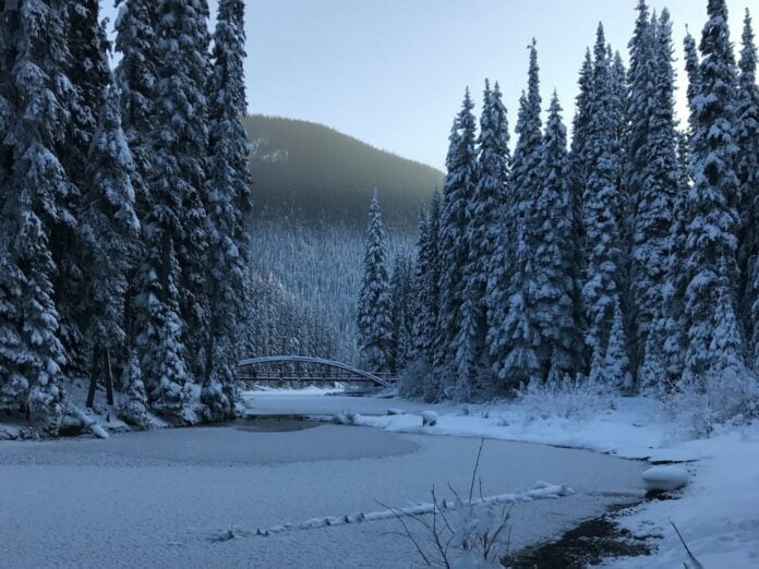 Lightning Lake Loop Hike - Manning Park - Adventure Awaits
