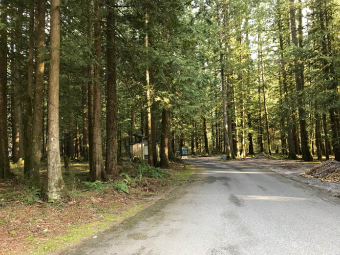 The Glen At Maple Falls | Family Travel Blog | Adventure Awaits