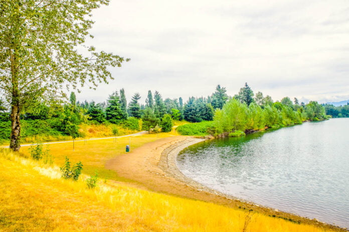 15 Fraser Valley Beaches To Visit: The Ultimate Beach Guide