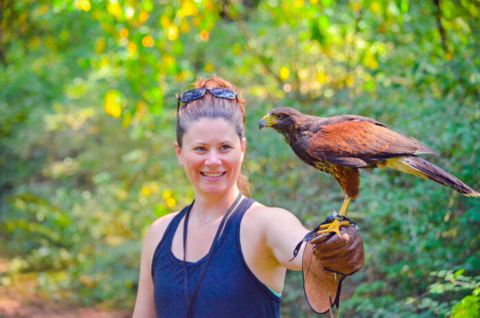 Getting Real Close With Pacific Northwest Raptors | Family Travel Blog