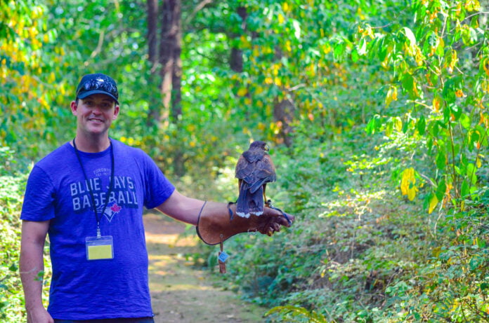 Getting Real Close With Pacific Northwest Raptors | Family Travel Blog