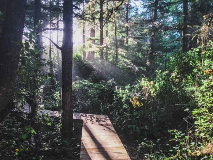 13 Reasons Why The Long Beach Lodge Is The Best Tofino Family Resort