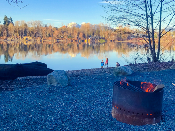 Cranberry Plunge Langley - How To Plan The Best Cranberry Farm Adventure