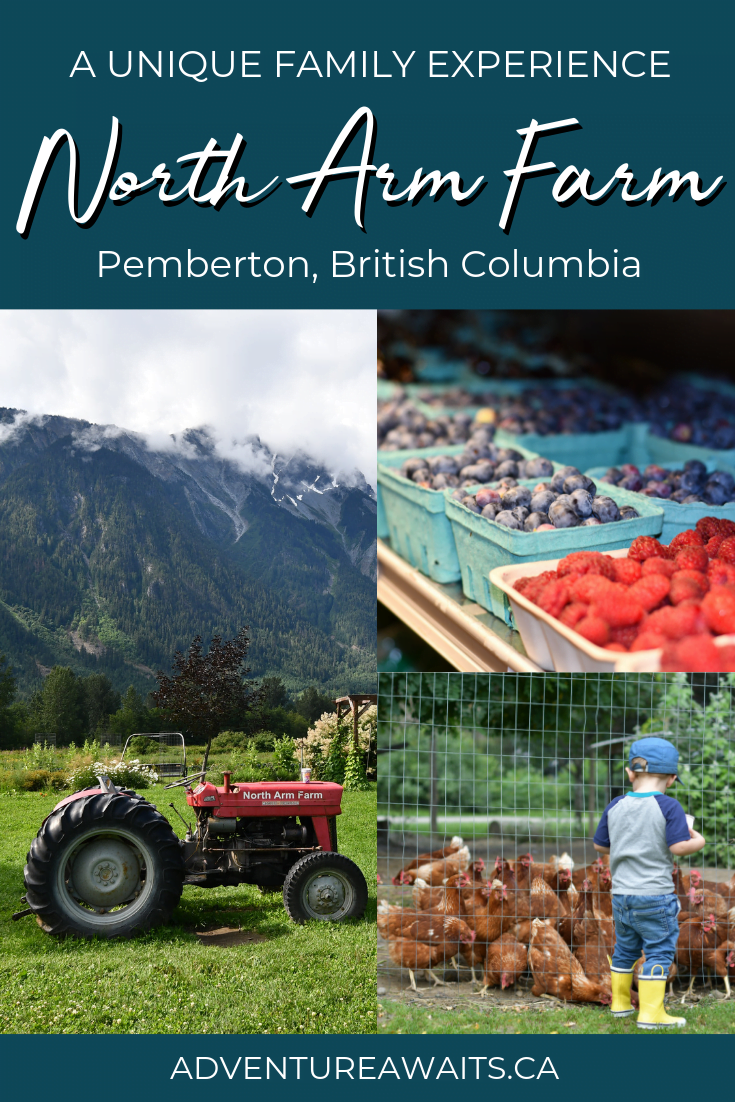 10 Photos To Inspire You To Visit North Arm Farm - Adventure Awaits