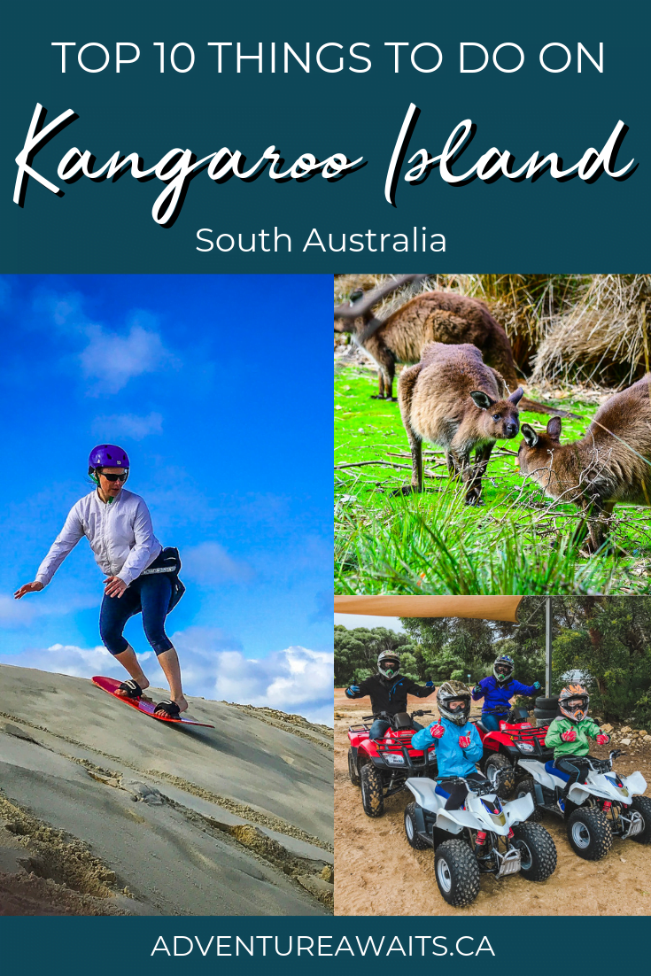 Top 10 Things To Do On Kangaroo Island | Adventure Awaits