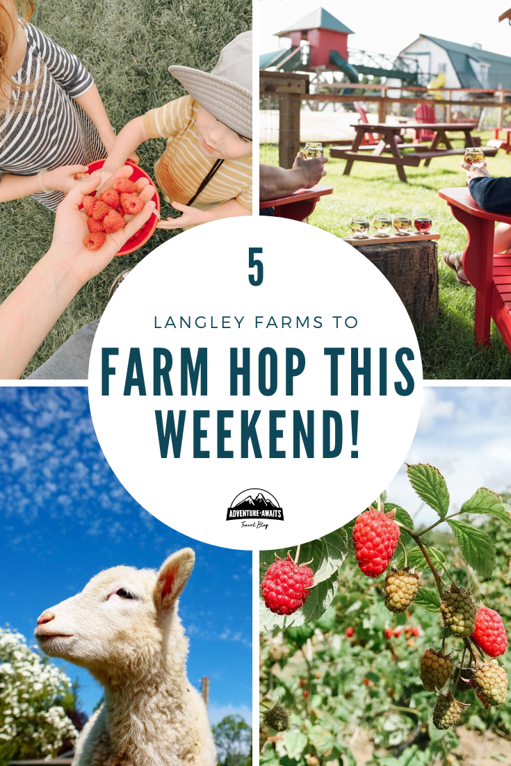 Langley Farm Tour