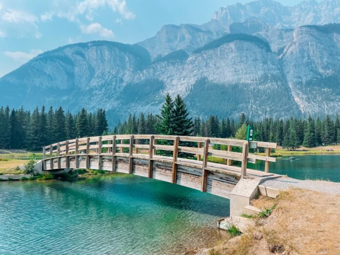 Indigenous Inspiration Through Storytelling On Our Banff Plant Medicine ...