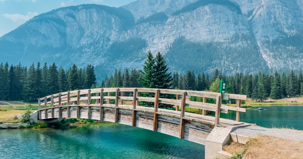 Indigenous Inspiration Through Storytelling On Our Banff Plant Medicine ...