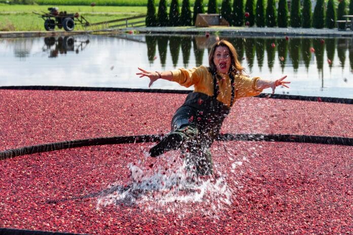 Cranberry Plunge Langley - How To Plan The Best Cranberry Farm ...