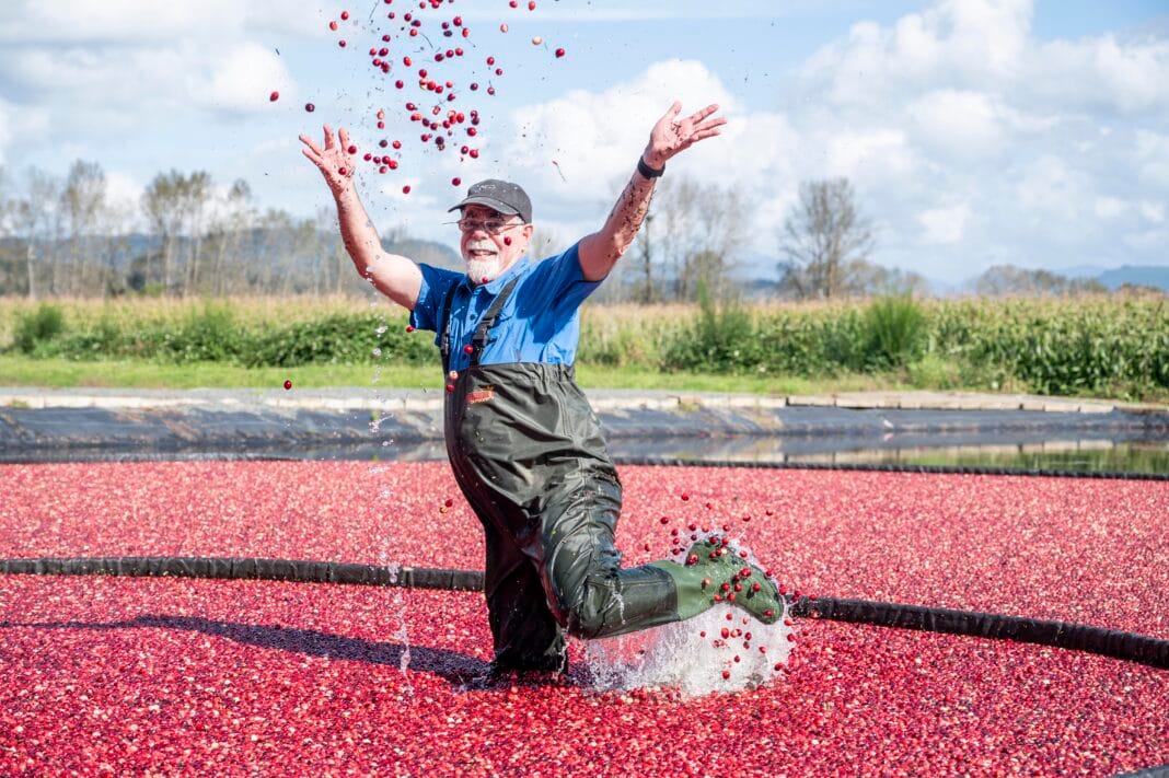 Cranberry Plunge Langley - How To Plan The Best Cranberry Farm ...