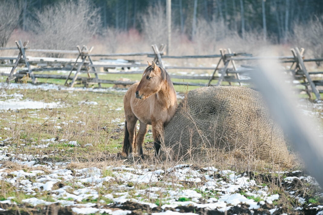 An Inspiring Indigenous Experience In Ottawa - Mādahòkì Farm, The All ...