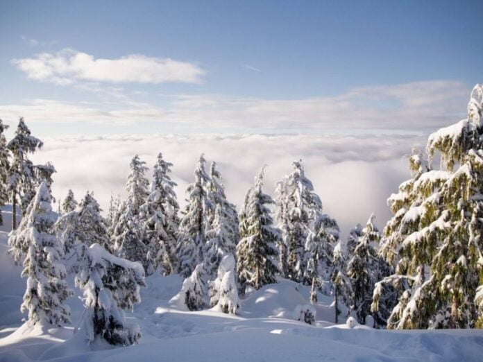 30 Fun Fraser Valley Hikes That Are Perfect For The Whole Family ...