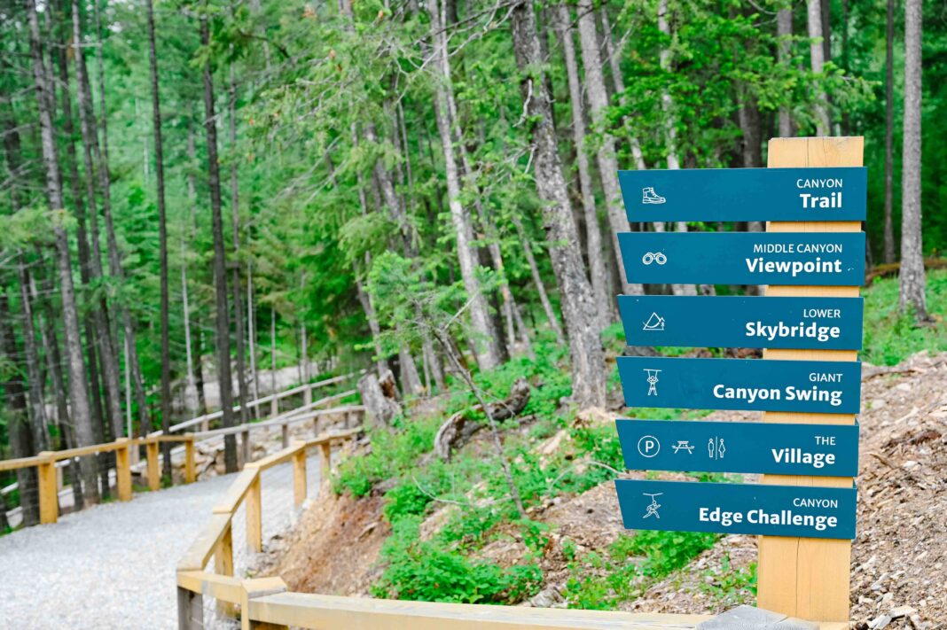 Ultimate Guide To Planning The Best Visit To Golden Suspension Bridge ...