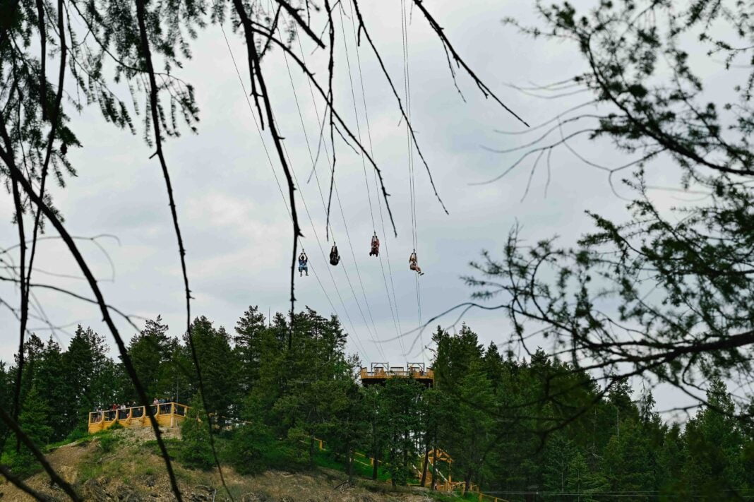 Ultimate Guide To Planning The Best Visit To Golden Suspension Bridge ...