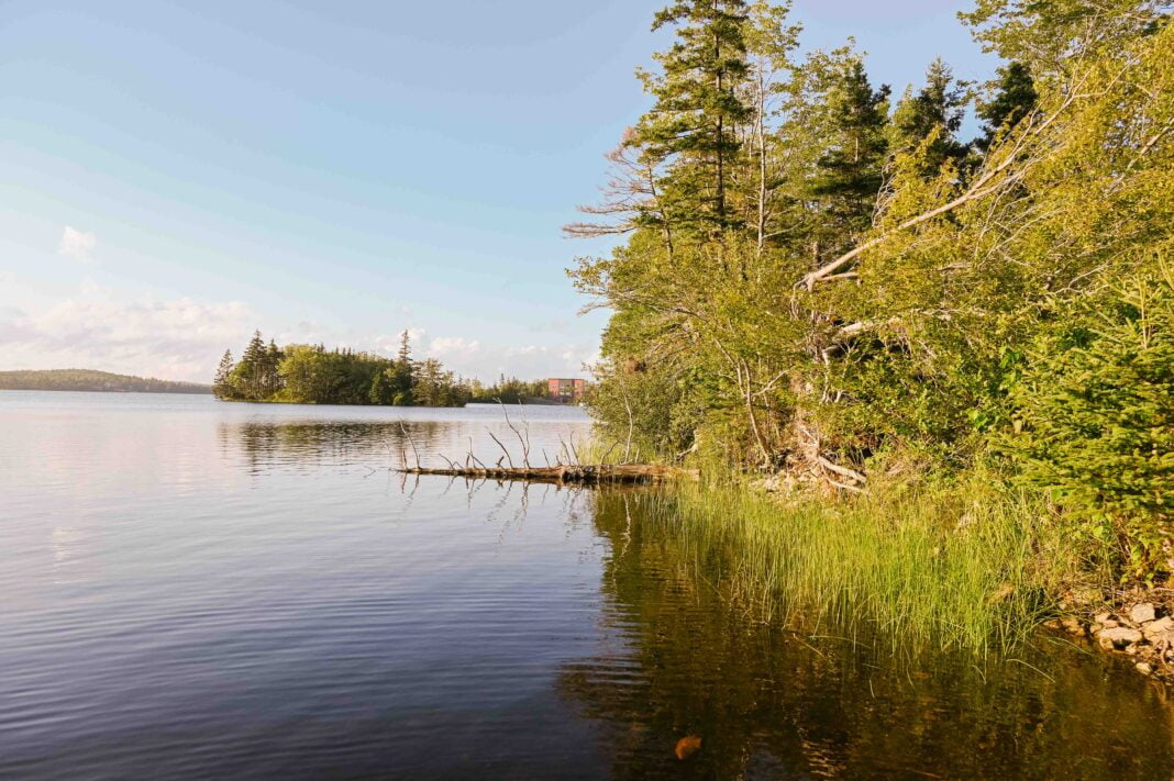 Your 2026 Adventure Guide To An Eastern Shore Road Trip In Nova Scotia ...