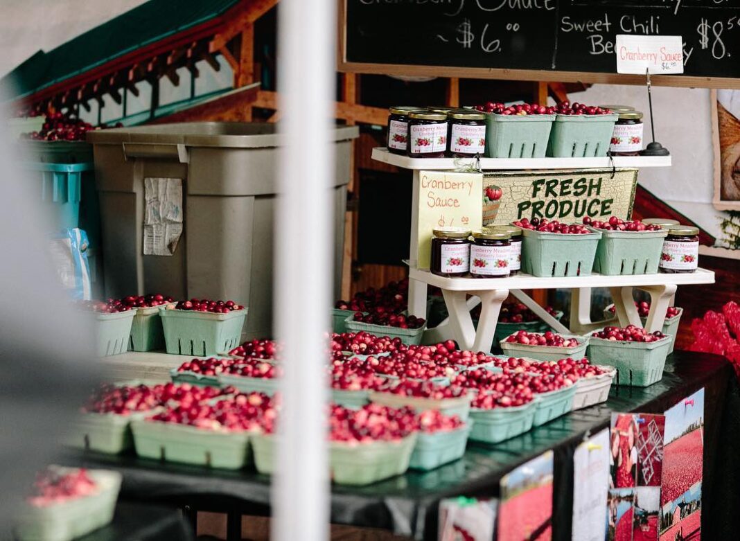 Cranberry Plunge Langley - How To Plan The Best Cranberry Farm ...