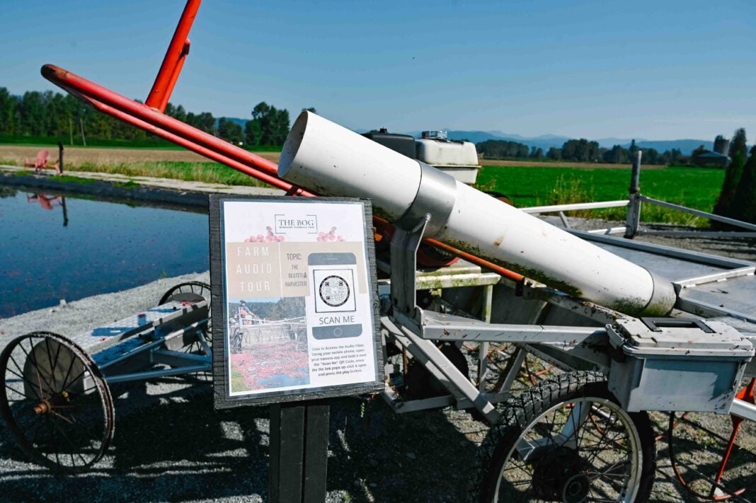 Cranberry Plunge Langley - How To Plan The Best Cranberry Farm ...