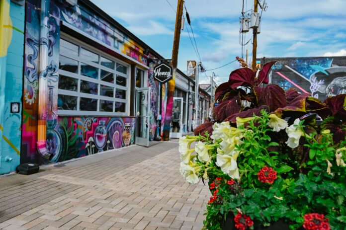 Exploring The Extreme Sport Of Street Artists On Denver's Best Graffiti ...