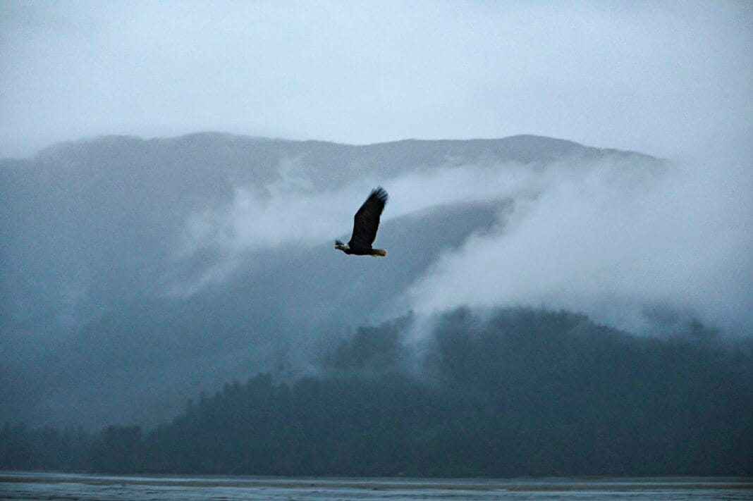 Rowena's Inn On The River-2024 Guide To Their Luxury Cabins