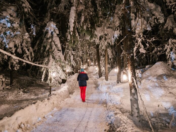 Vallea Lumina Review - Your 2026 Adventure Guide To Whistler's Night Walk