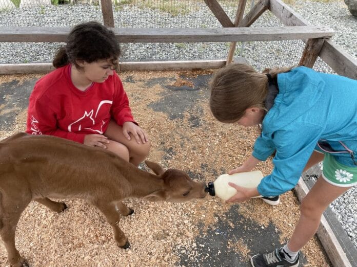 Langley Farm Tour