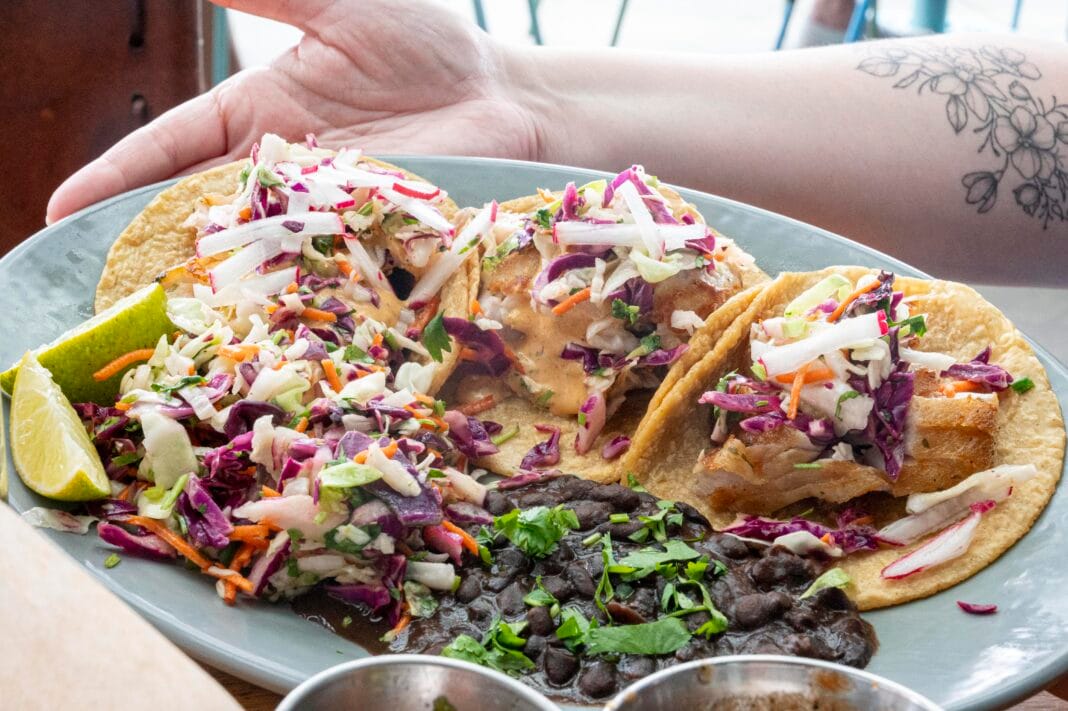 California Road Trip:The Ultimate Playground Adventure Guide