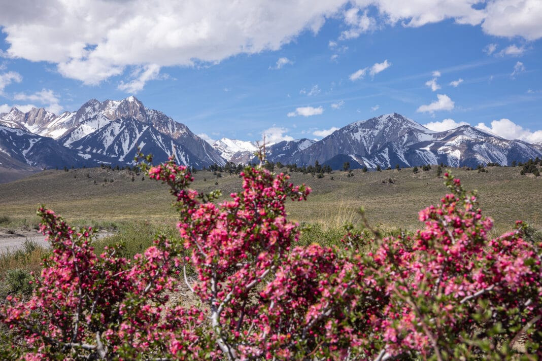 Attractions In Mammoth Lakes: Adventures To Explore In 2026